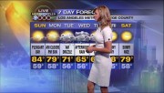 Bri Winkler - KABC 7 Los Angeles - TvNewsCaps